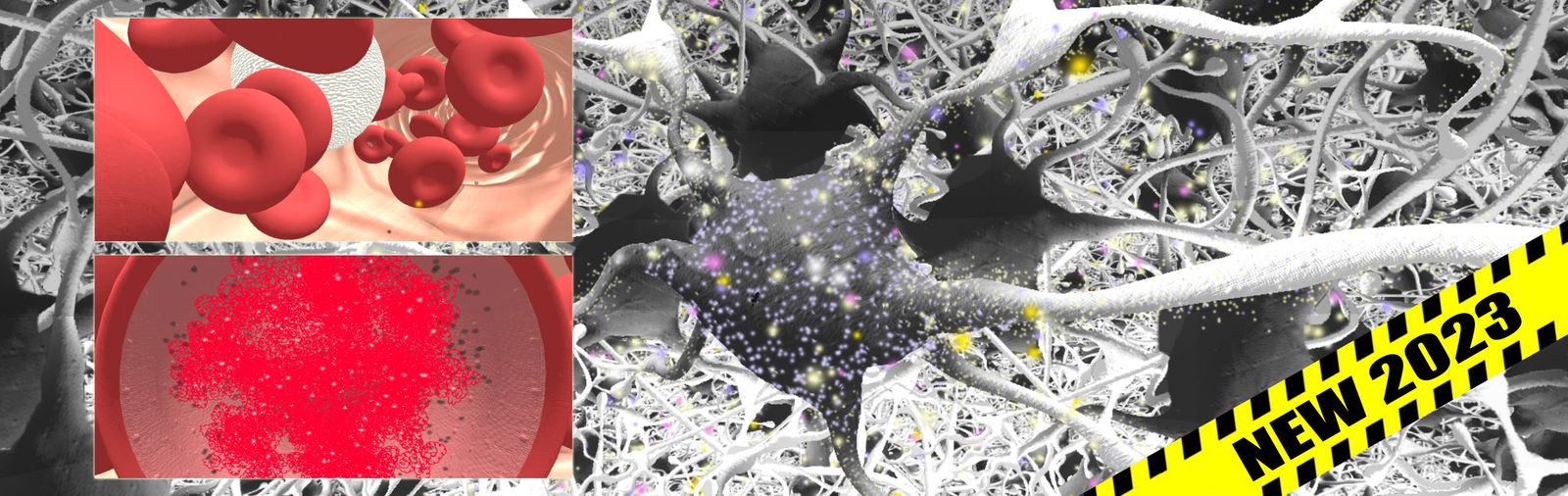 VR Curriculum-Aligned Modules